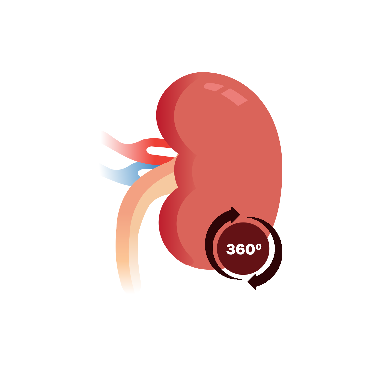 Codiya Nephroshield - Antioxidants for Kidney & Diabetic Care – Uveda ...