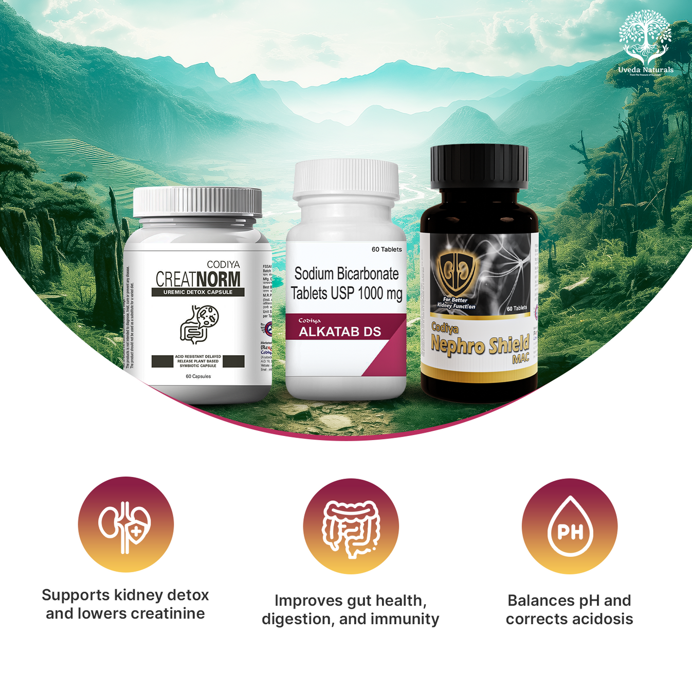 Codiya Alkatab DS, Creatnorm and Nephroshield Mac Combo – Uveda Naturals