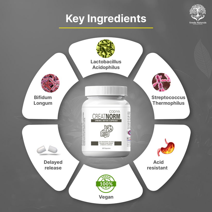 Creatnorm Capsules - Uremic Symbiotic Probiotic Formula – Uveda Naturals