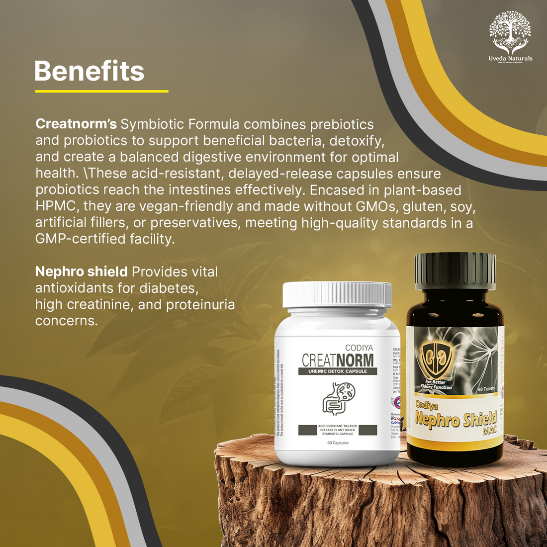 Codiya Nephroshield Mac & Creatnorm Capsules Combo – Uveda Naturals