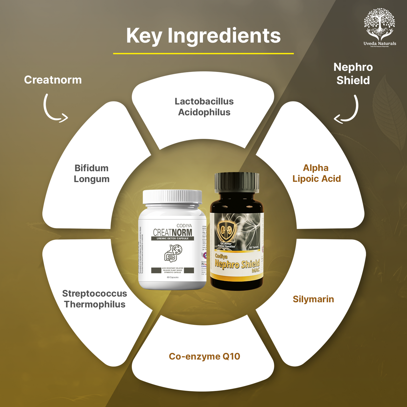 Codiya Nephroshield Mac & Creatnorm Capsules Combo – Uveda Naturals