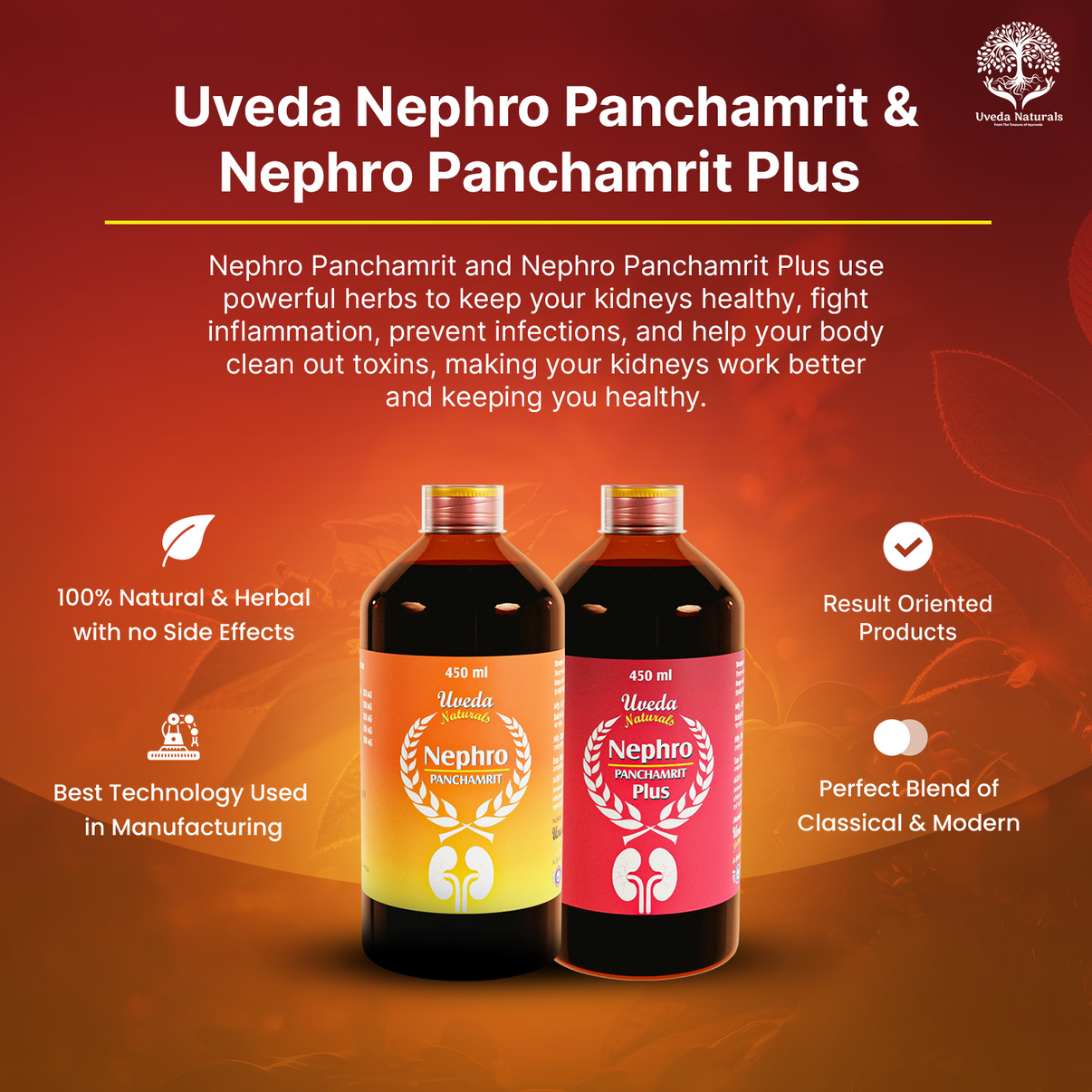 Best Damage Repair Syrup| Chronic Kidney Disease – Uveda Naturals